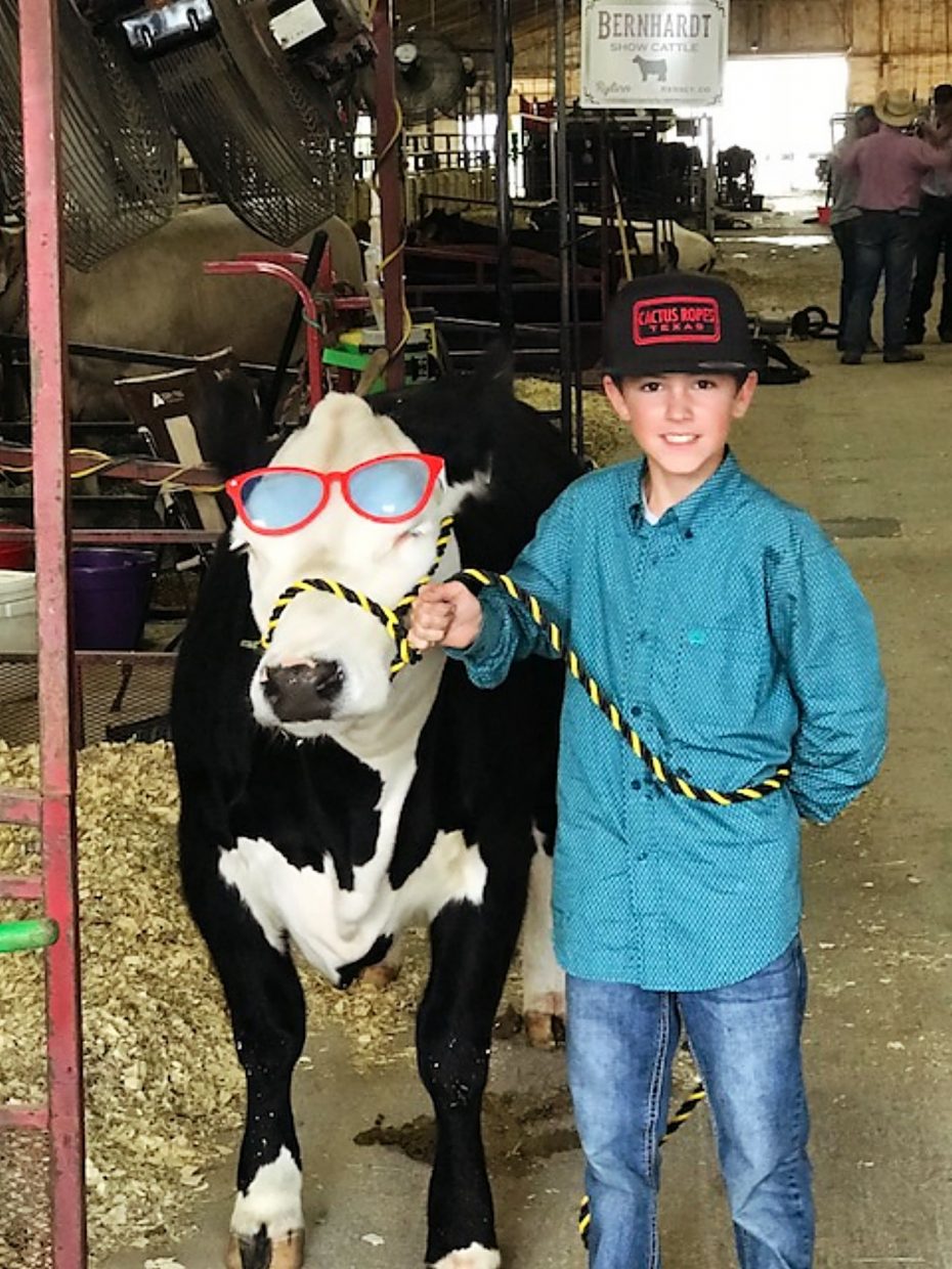 Helping youth build their herd and knowledge of pedigrees and selection ...