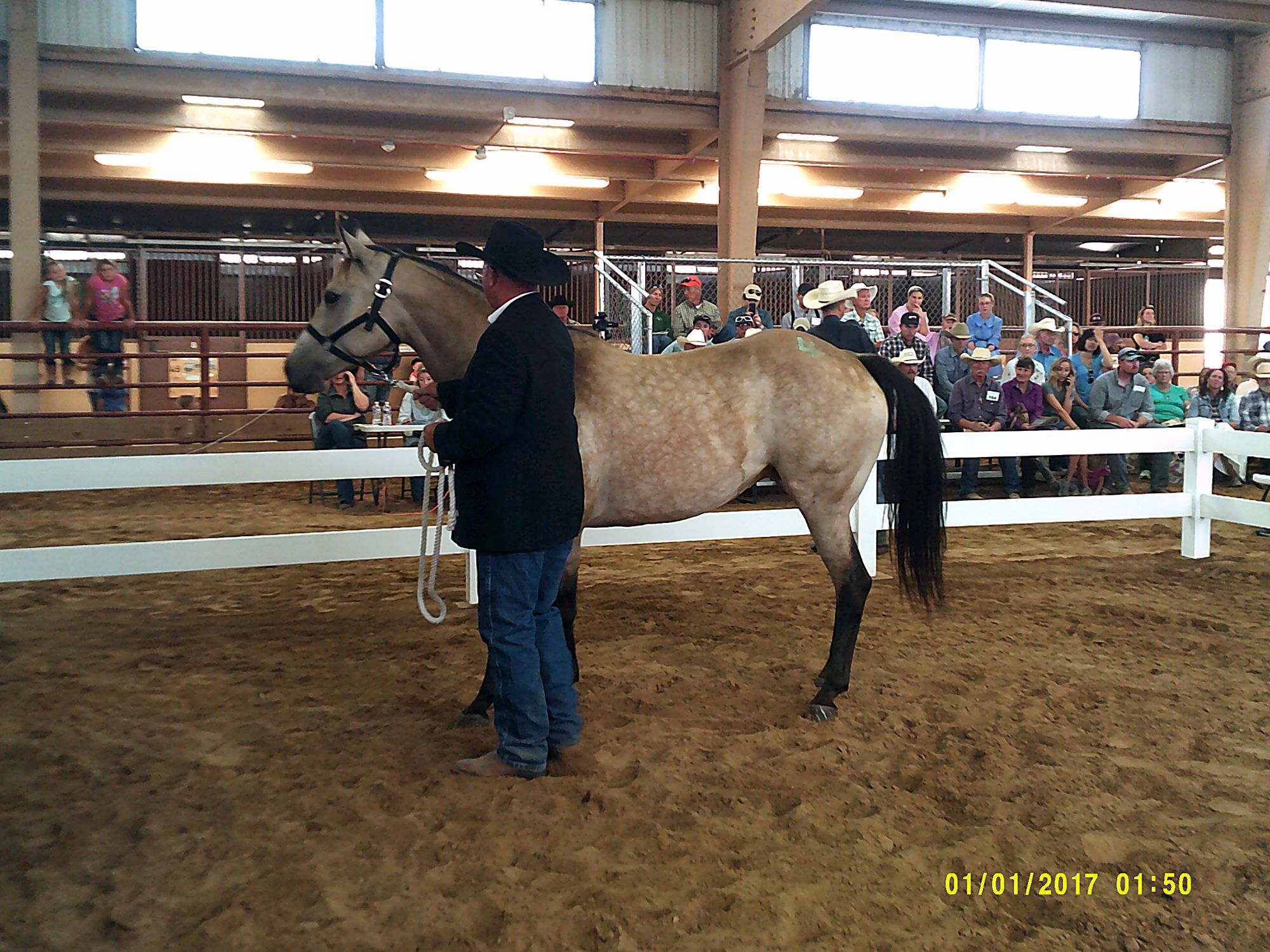 KeSa Quarter Horses ends a 30-Year ride along the genetics trail ...