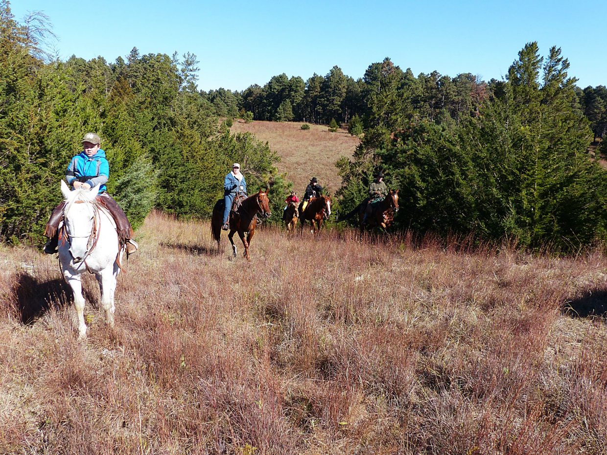 Nebraska National Forest trail ride benefits local 4-H clubs and ...