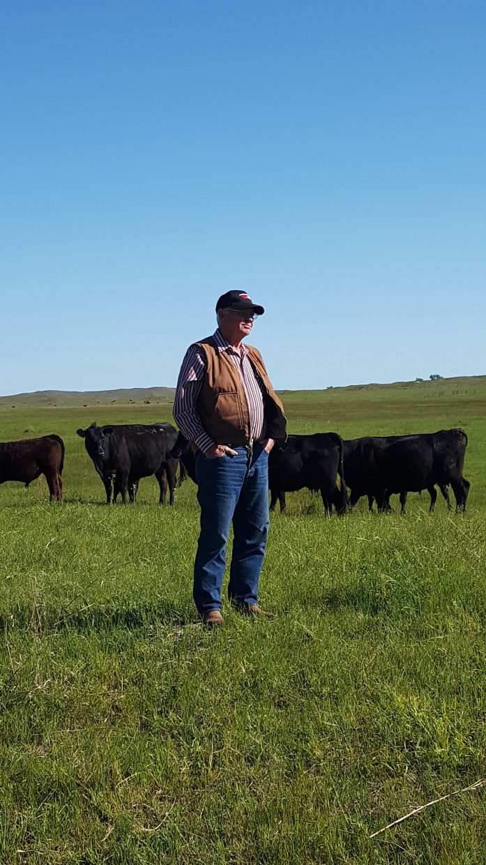 Daigger Angus named 2018 Nebraska Angus Producer of the Year ...