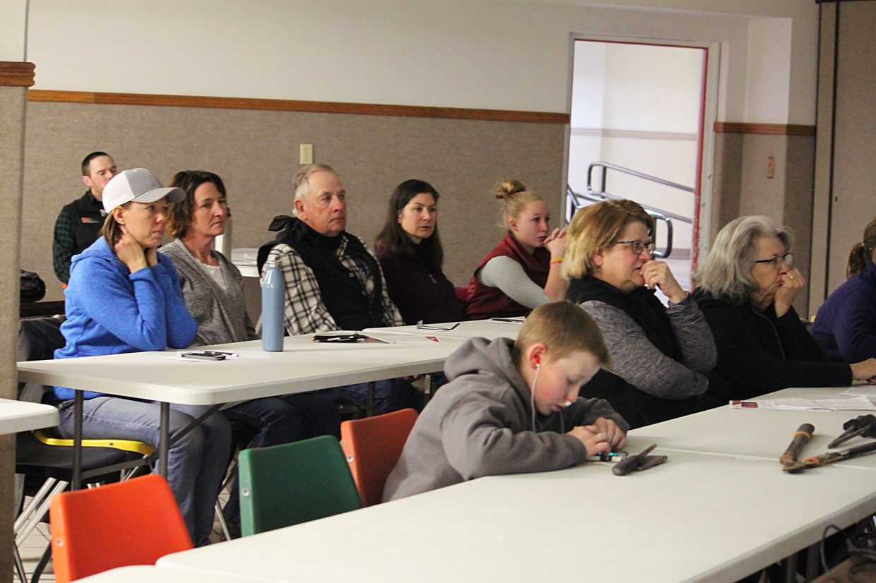 Performing necropsies could be a way for beef industry to improve ...