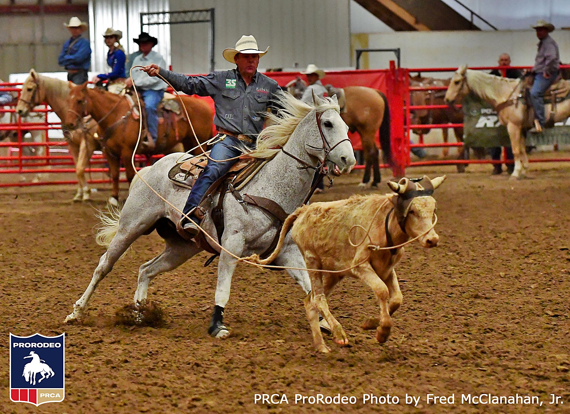 Professional rodeo’s top steer ropers head to Torrington, Wyo., April ...