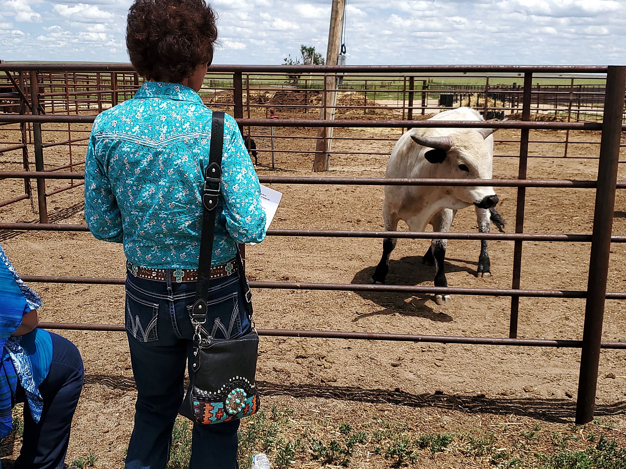 Freeman Ranch brings longhorn producers together | TheFencePost.com