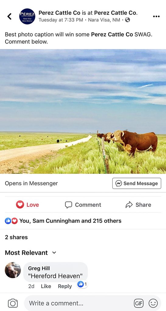 Breaking rules against animal sales on Facebook is poor marketing ...