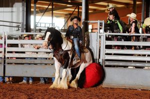 Crystal Lyons and Strider: A perfect partnership | TheFencePost.com