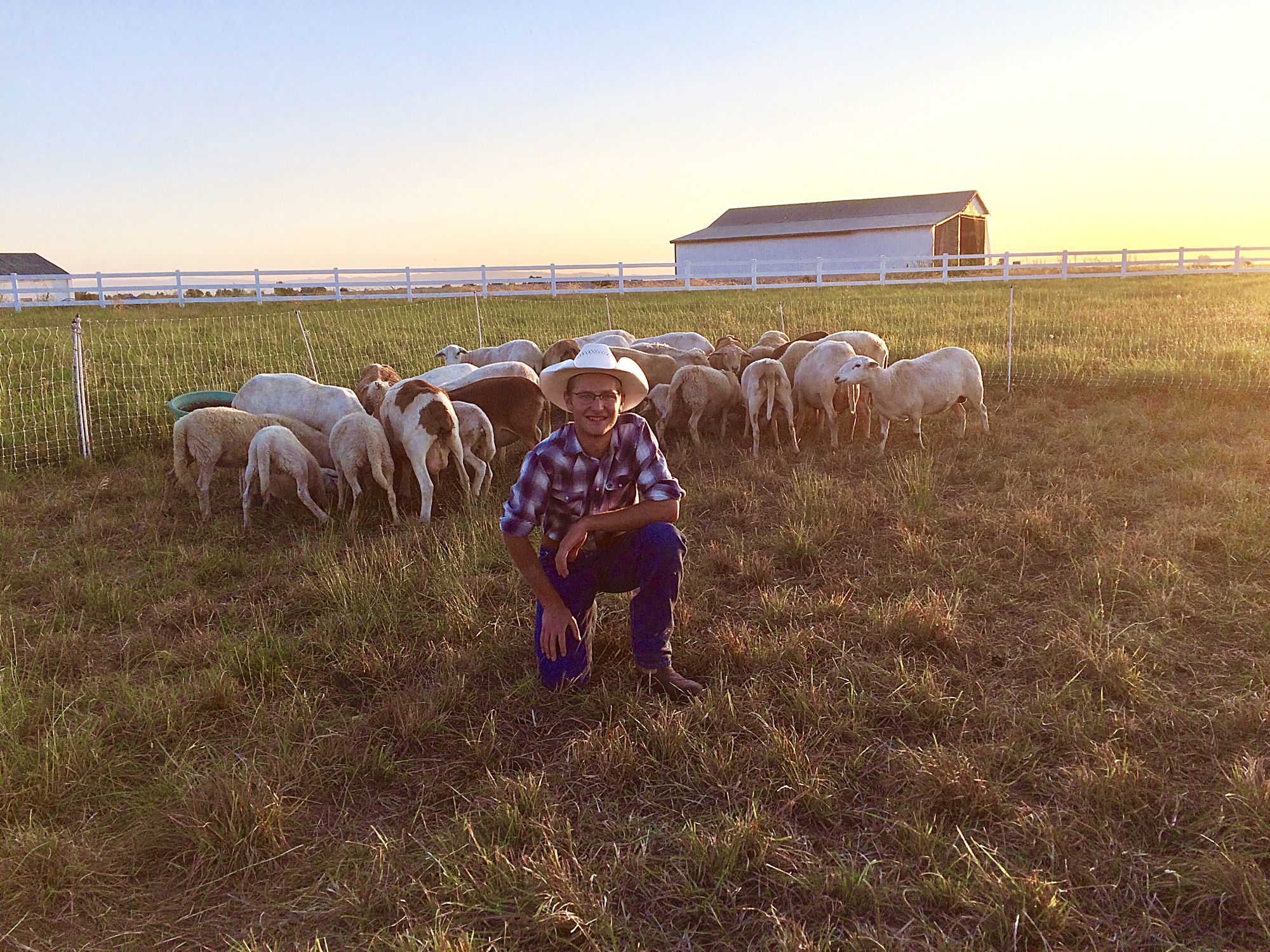 Young producer focuses on creating a sustainable sheep business ...