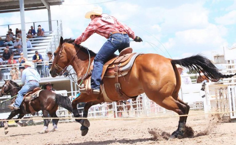 Ellerman builds successful ag businesses around key people ...