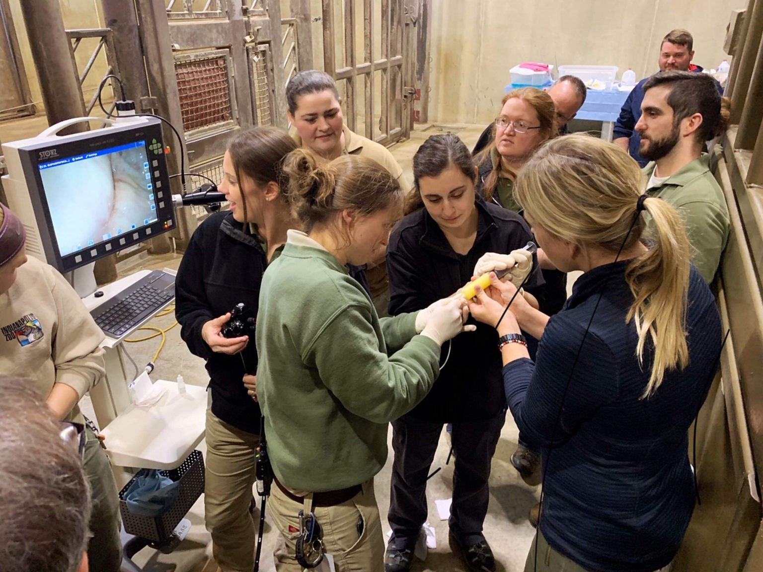 Neb. woman uses knowledge of livestock reproduction to impregnate ...