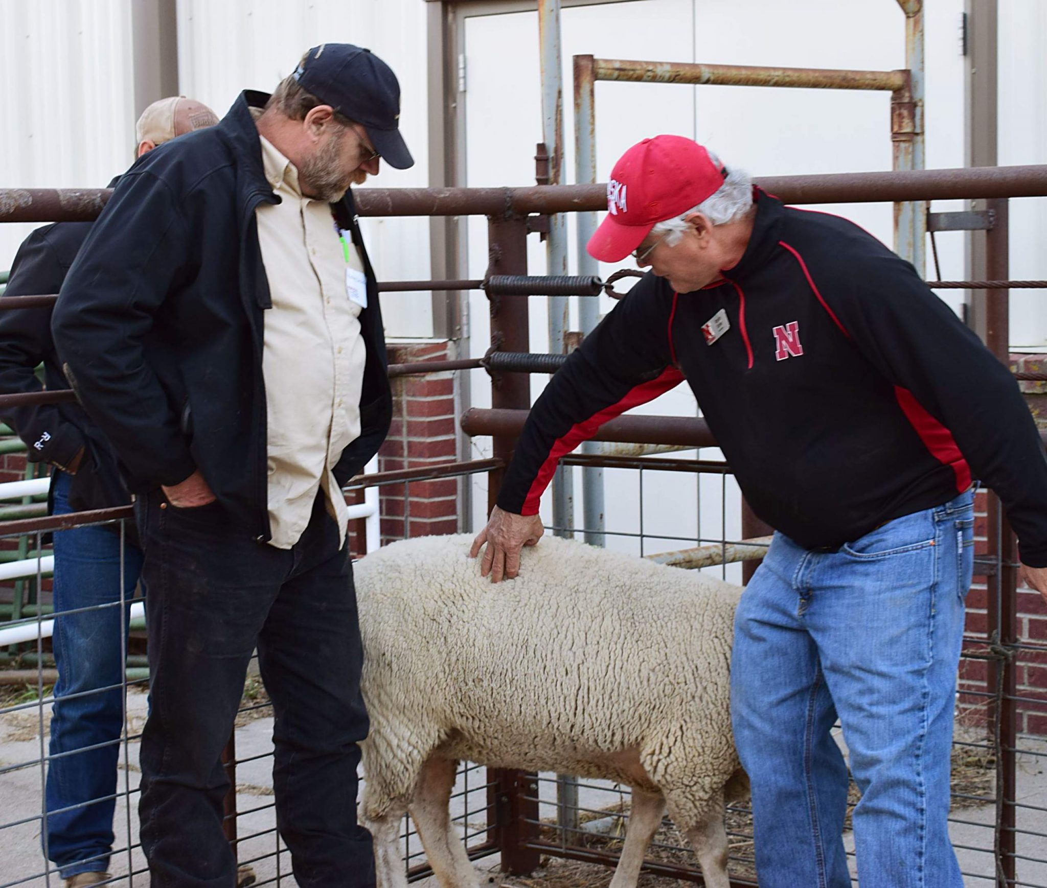 The 2019 Nebraska Sheep and Goat Producers Annual Conference draws a ...