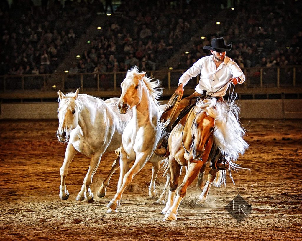 NWSS RAM Invitational Freestyle Reining Competition turns 25 in 2020 ...