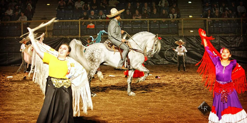 NWSS puts on its 25th An Evening of Dancing Horses in 2020 ...