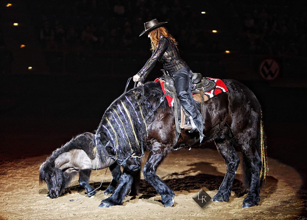 NWSS puts on its 25th An Evening of Dancing Horses in 2020 ...