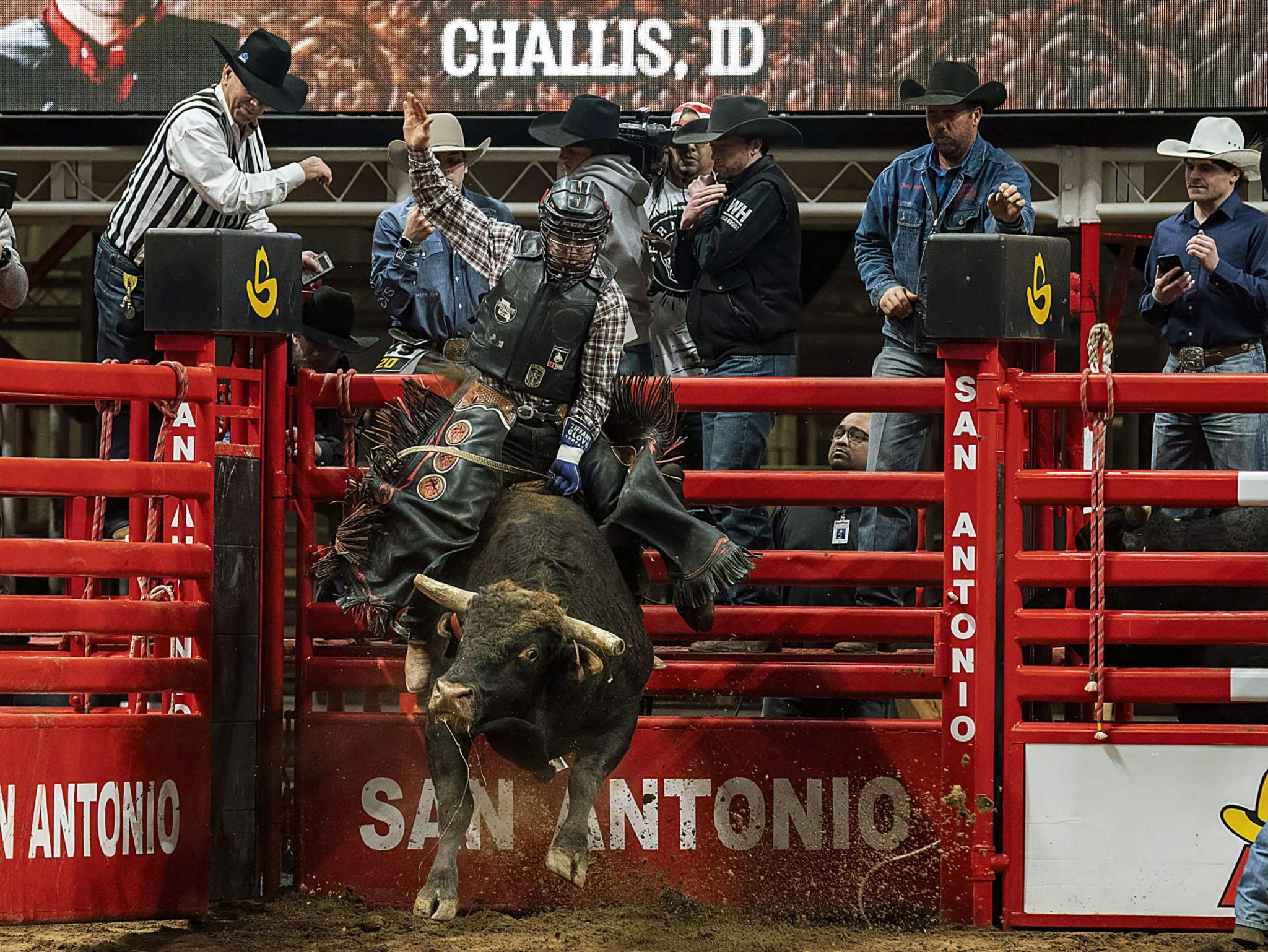 Piva alone at top of San Antonio Rodeo leaderboard | TheFencePost.com