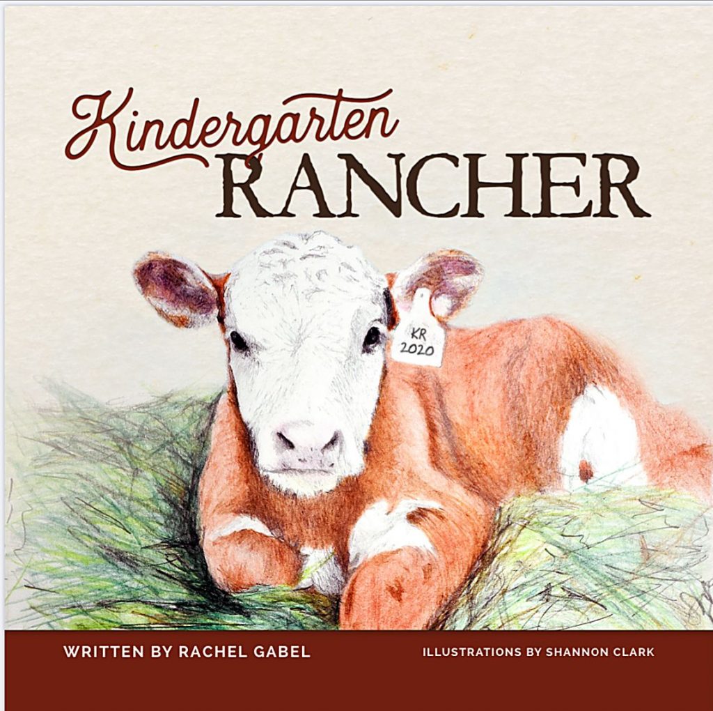 Kindergarten Rancher: Livestock, learning and literacy | TheFencePost.com