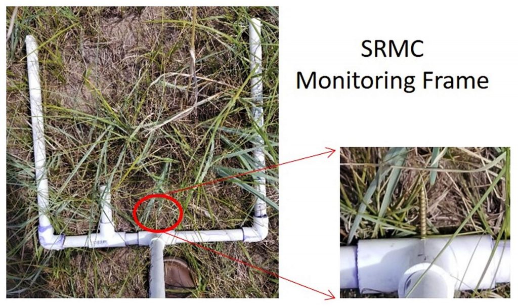 What should my pastures look like? Interpreting rangeland monitoring ...