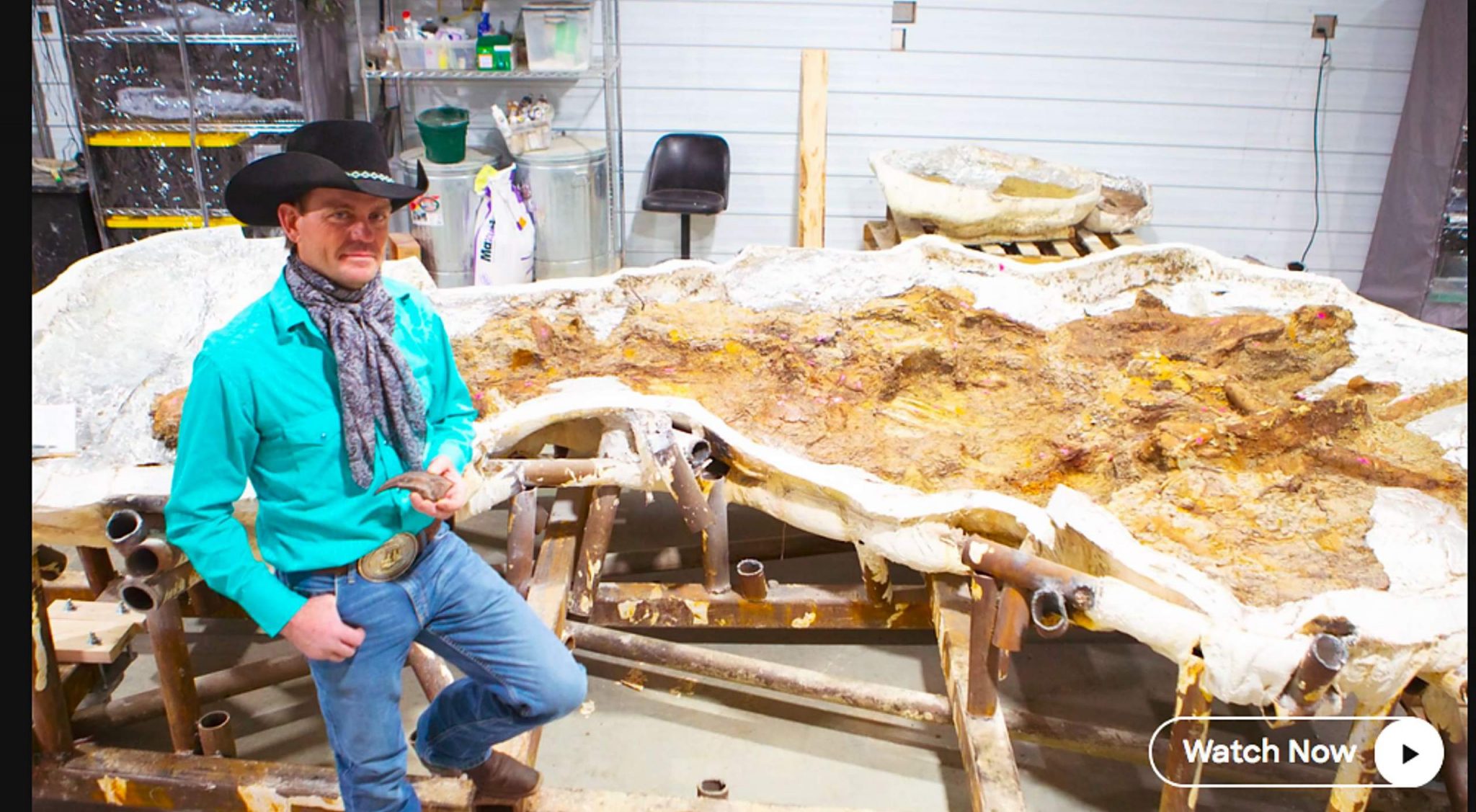 From herding to hunting: New Discovery series Dino Hunters highlights ...