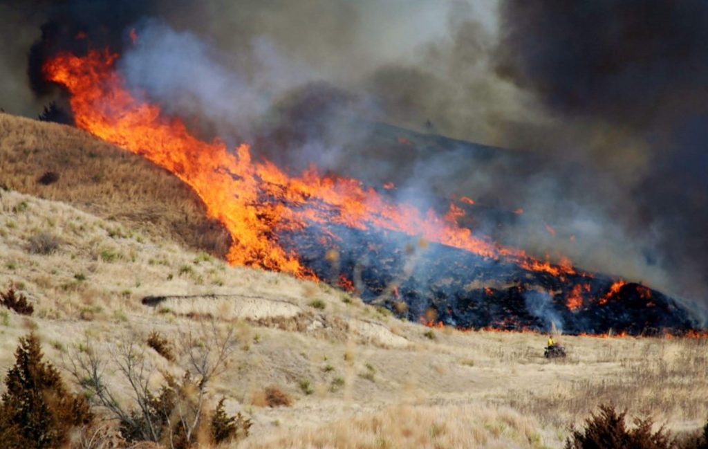 Eastern red cedar control critical to rangeland health, grass ...