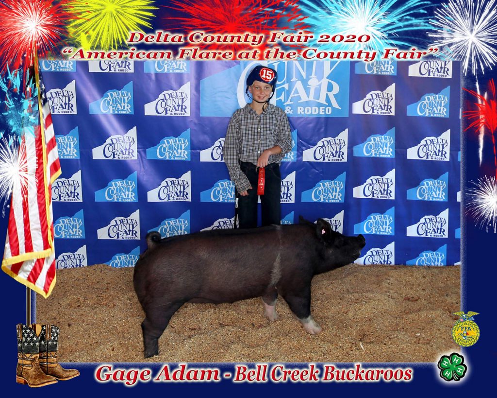 Injured child’s pig sells for $50,000 at Colorado county fair ...
