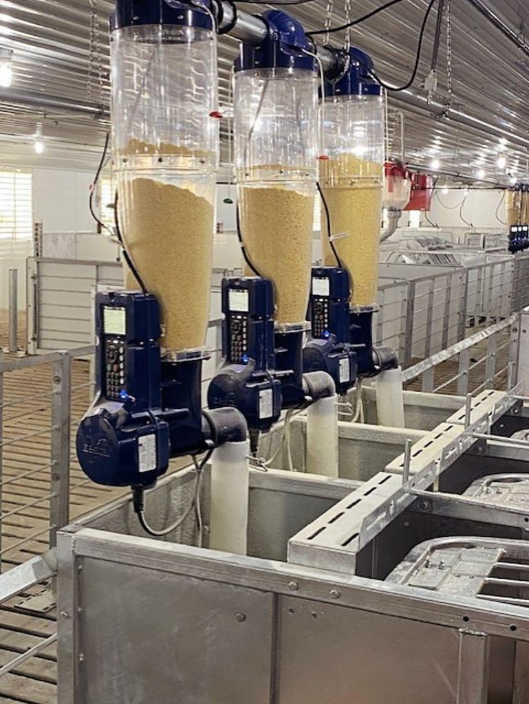 Kansas couple held open house at the Henry Pork farrow to finish ...