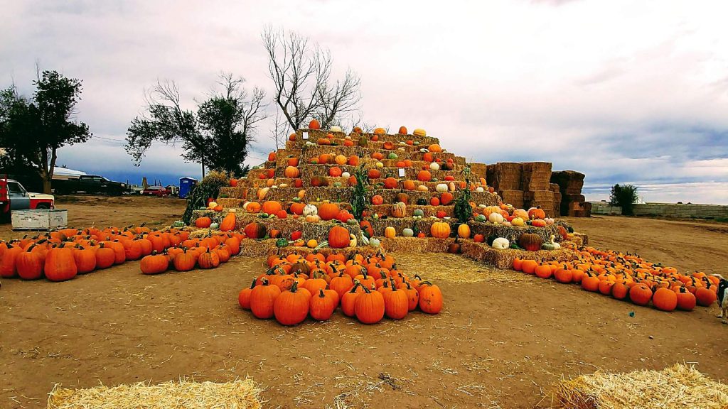 A patchwork of pumpkin fun | TheFencePost.com