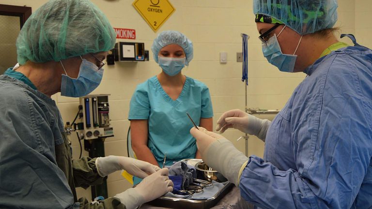 Proposition 129 is a dangerous step backward for veterinary care ...