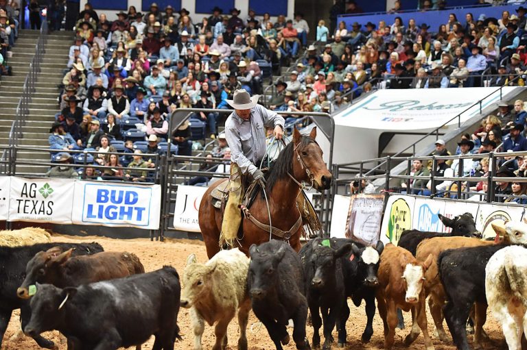 WRCA World Championship Ranch Rodeo will go ahead despite COVID ...