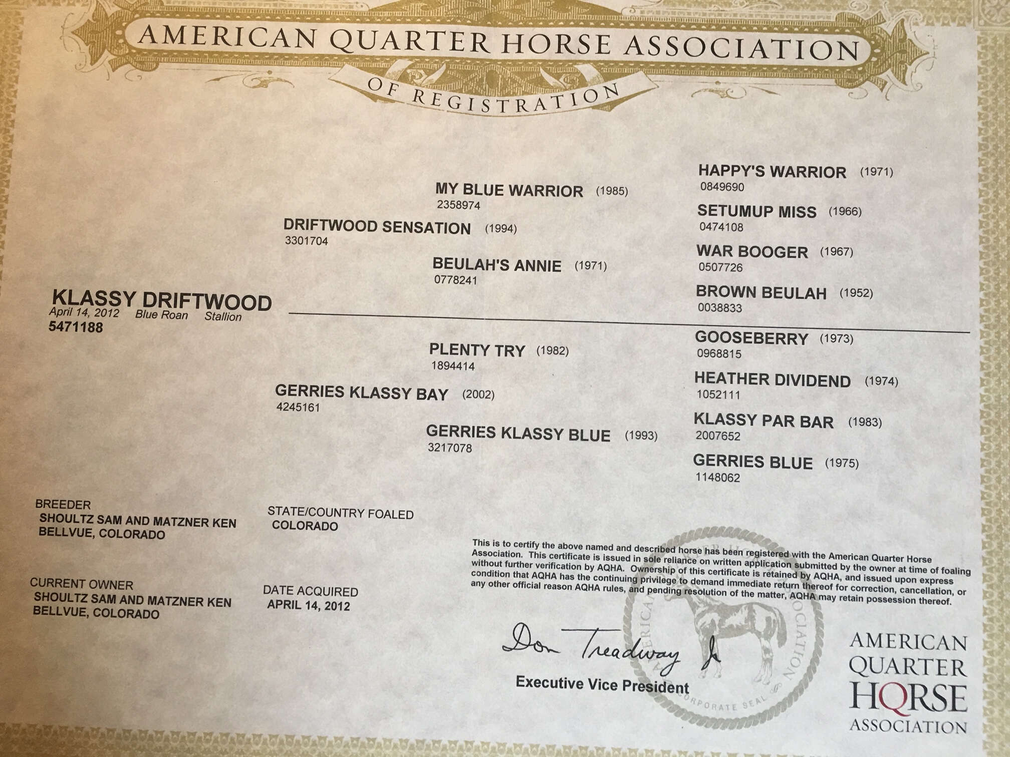 KeSa Quarter Horses, The Sequel | TheFencePost.com