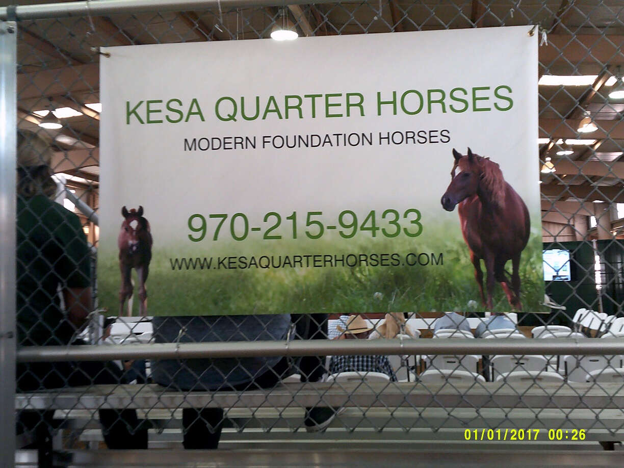 KeSa Quarter Horses, The Sequel | TheFencePost.com
