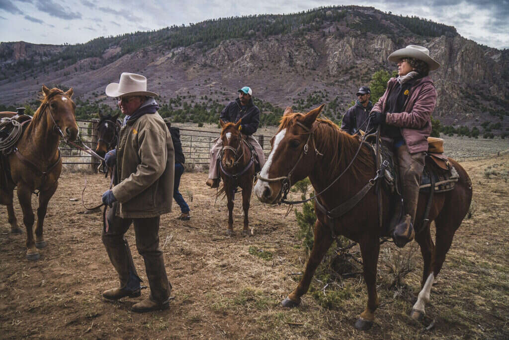 See Jane ranch | TheFencePost.com