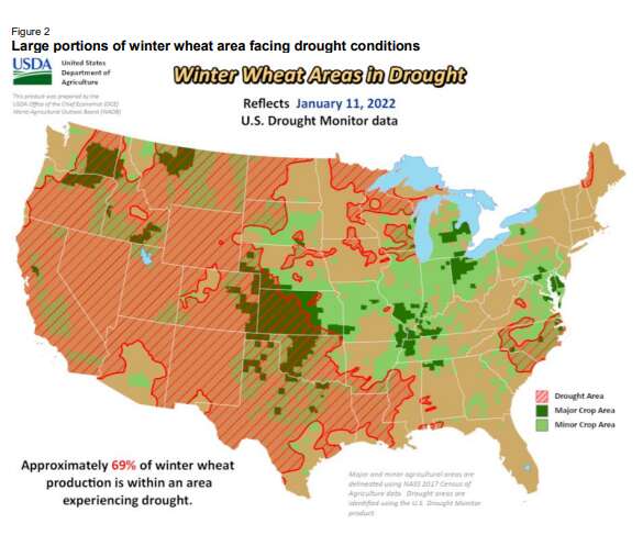 USDA reports reflect why US farmers seeded more winter wheat ...