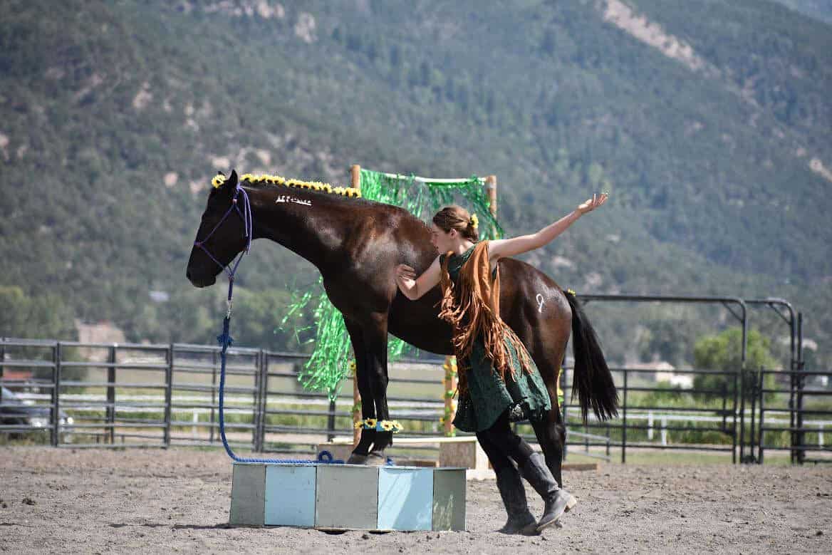 Training Mustangs at Wild To Mild Montrose | TheFencePost.com
