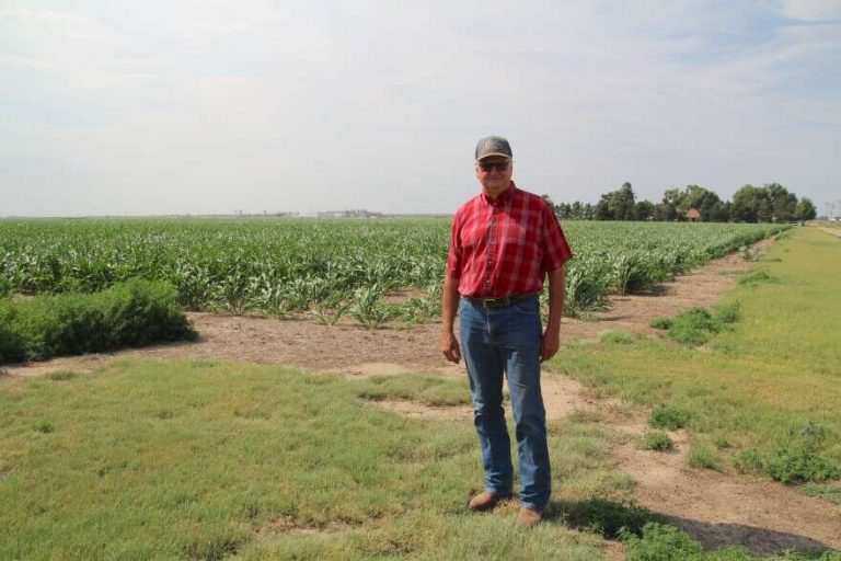 How a meatpacking plant changed one Kansas town 40 years ago and left a ...