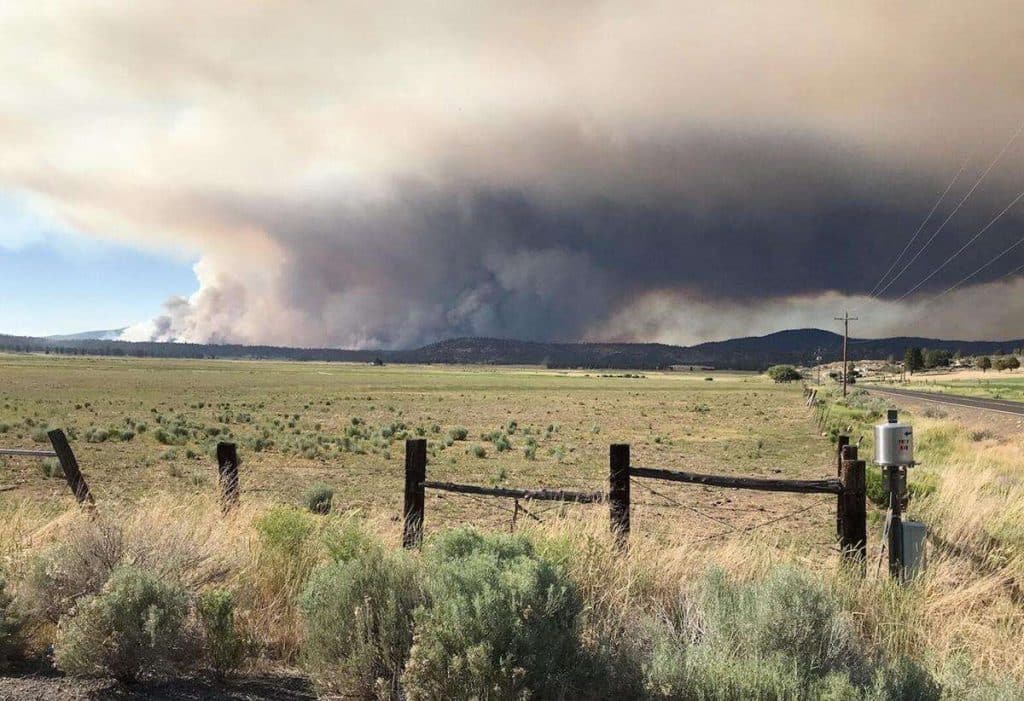 Bootleg Fire devastates southern Oregon farmers and ranchers ...