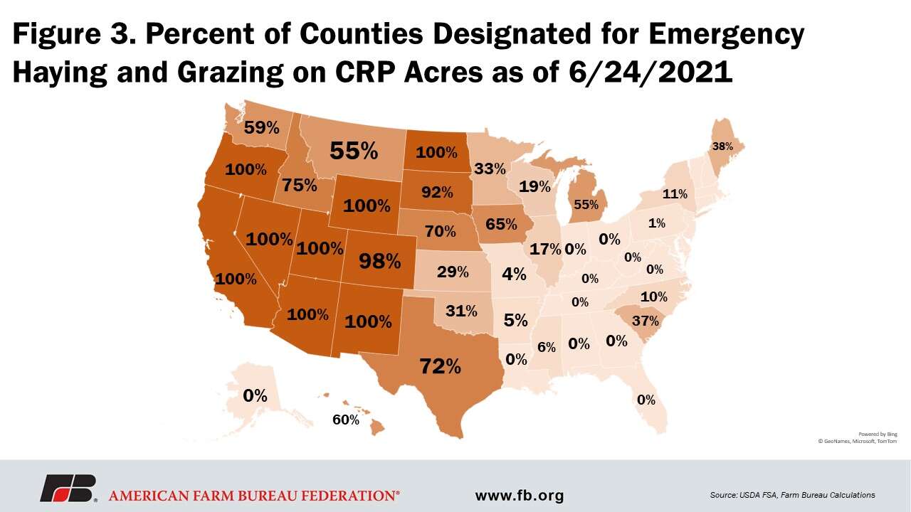 Over 1,000 counties approved for emergency haying and grazing on CRP ...