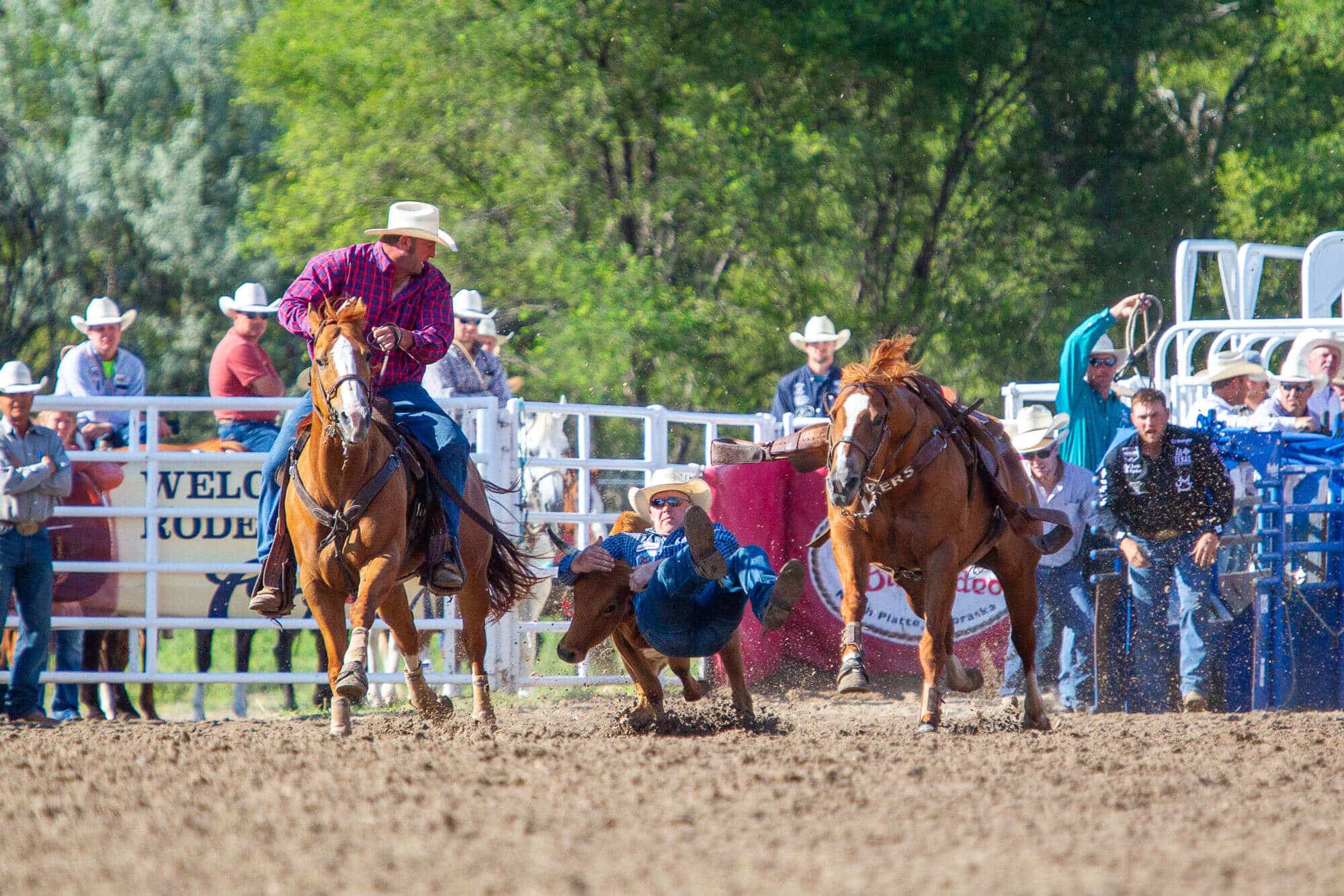 America’s Sport | TheFencePost.com