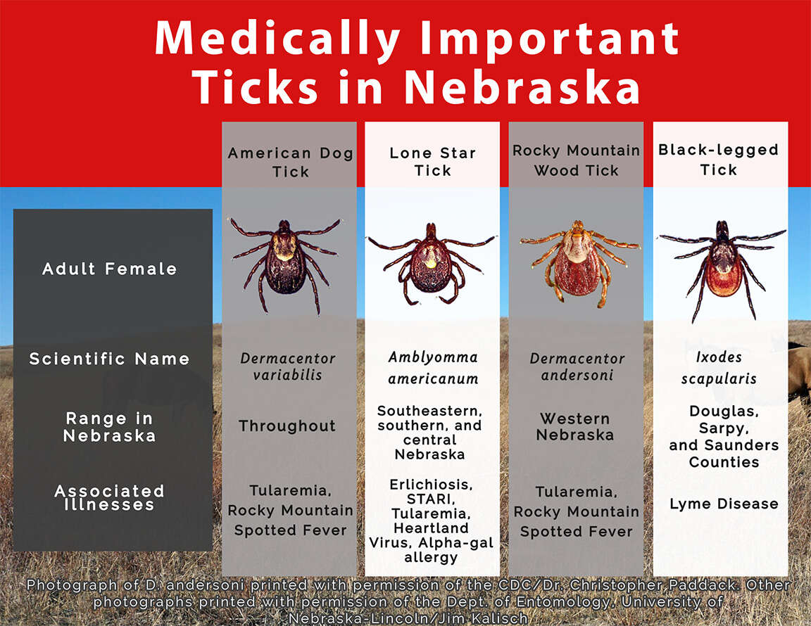 Researchers map ticks across Cornhusker State | TheFencePost.com