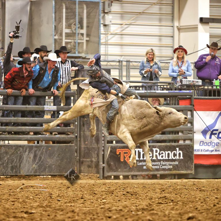 2022 Mountain States Circuit Finals Rodeo | TheFencePost.com