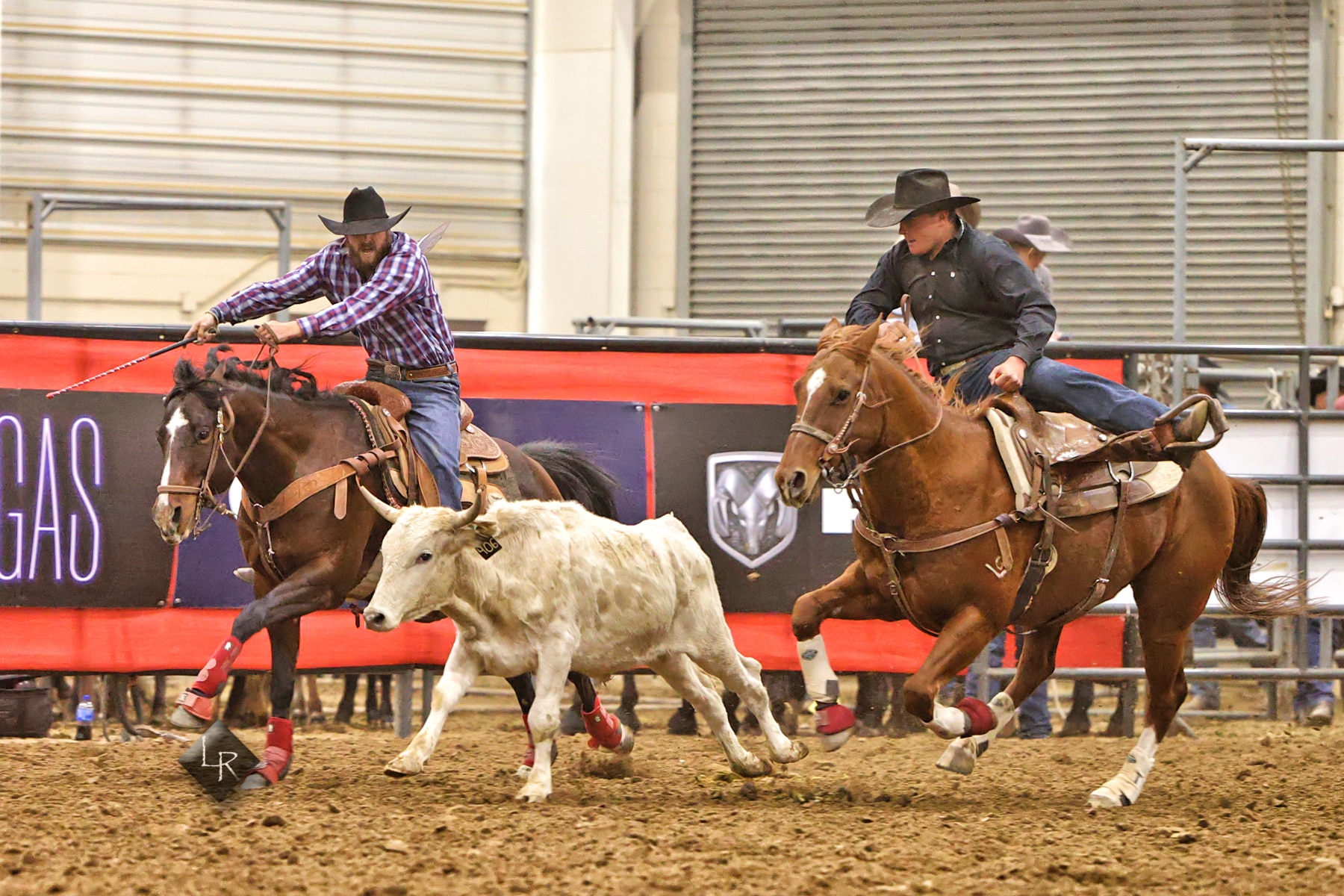 2022 Mountain States Circuit Finals Rodeo | TheFencePost.com