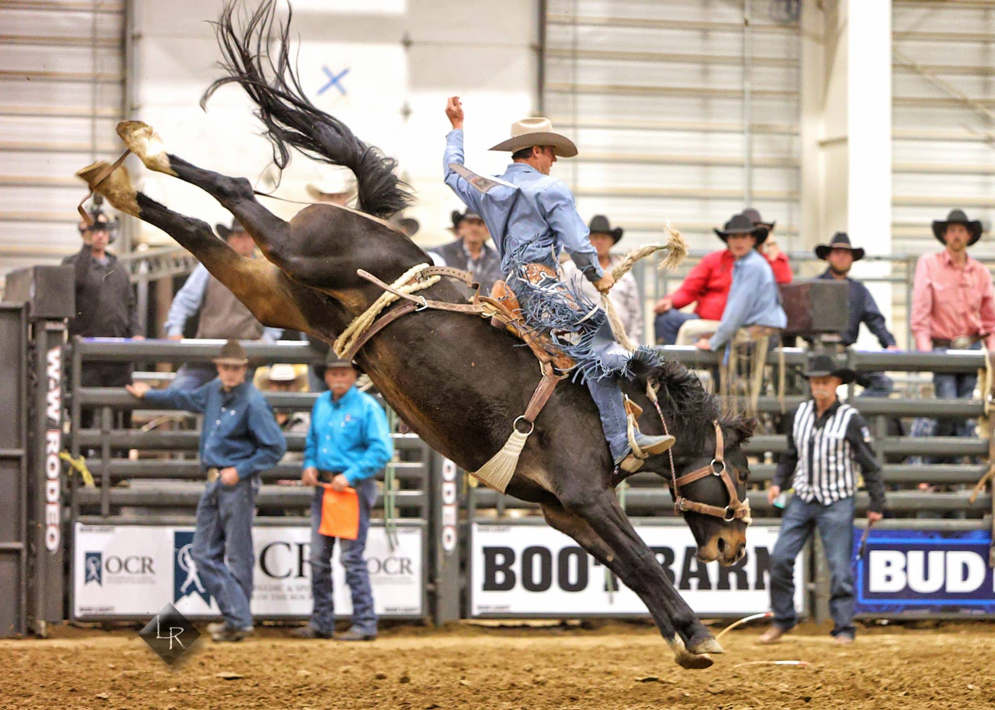 2022 Mountain States Circuit Finals Rodeo | TheFencePost.com