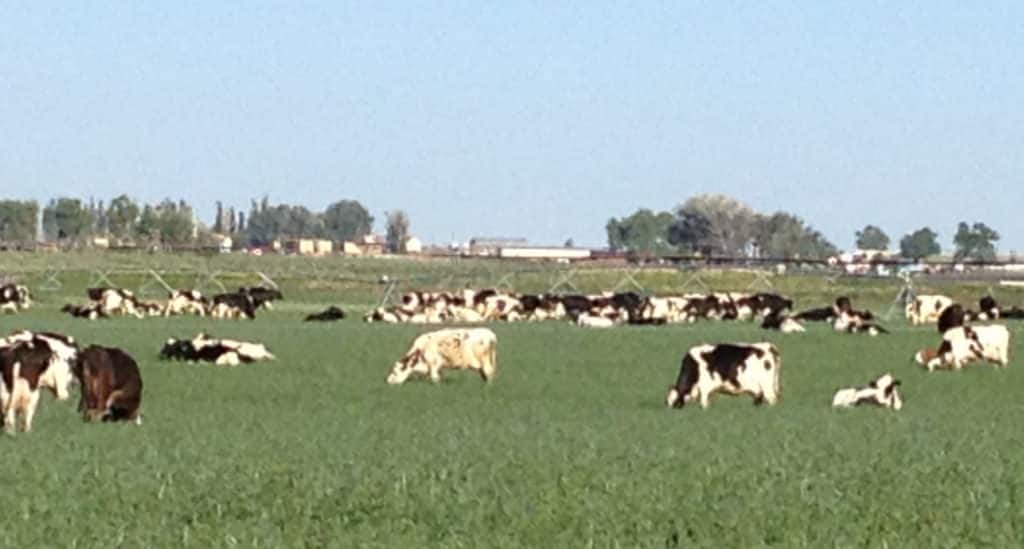 CSU receives $3M grant to study one of most common, costly problems ...