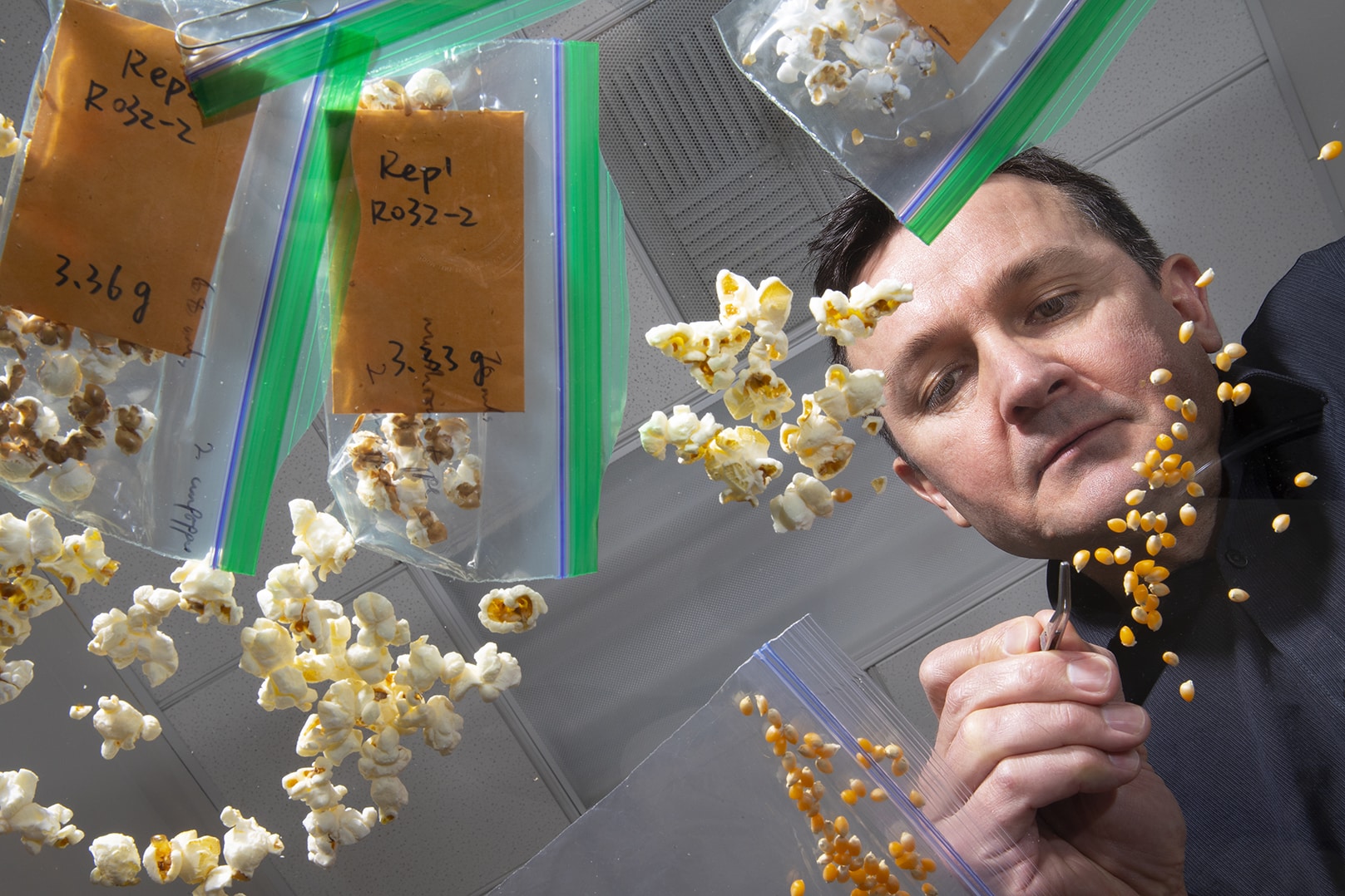 Study identifies connections among popcorn, microbiome, human health ...