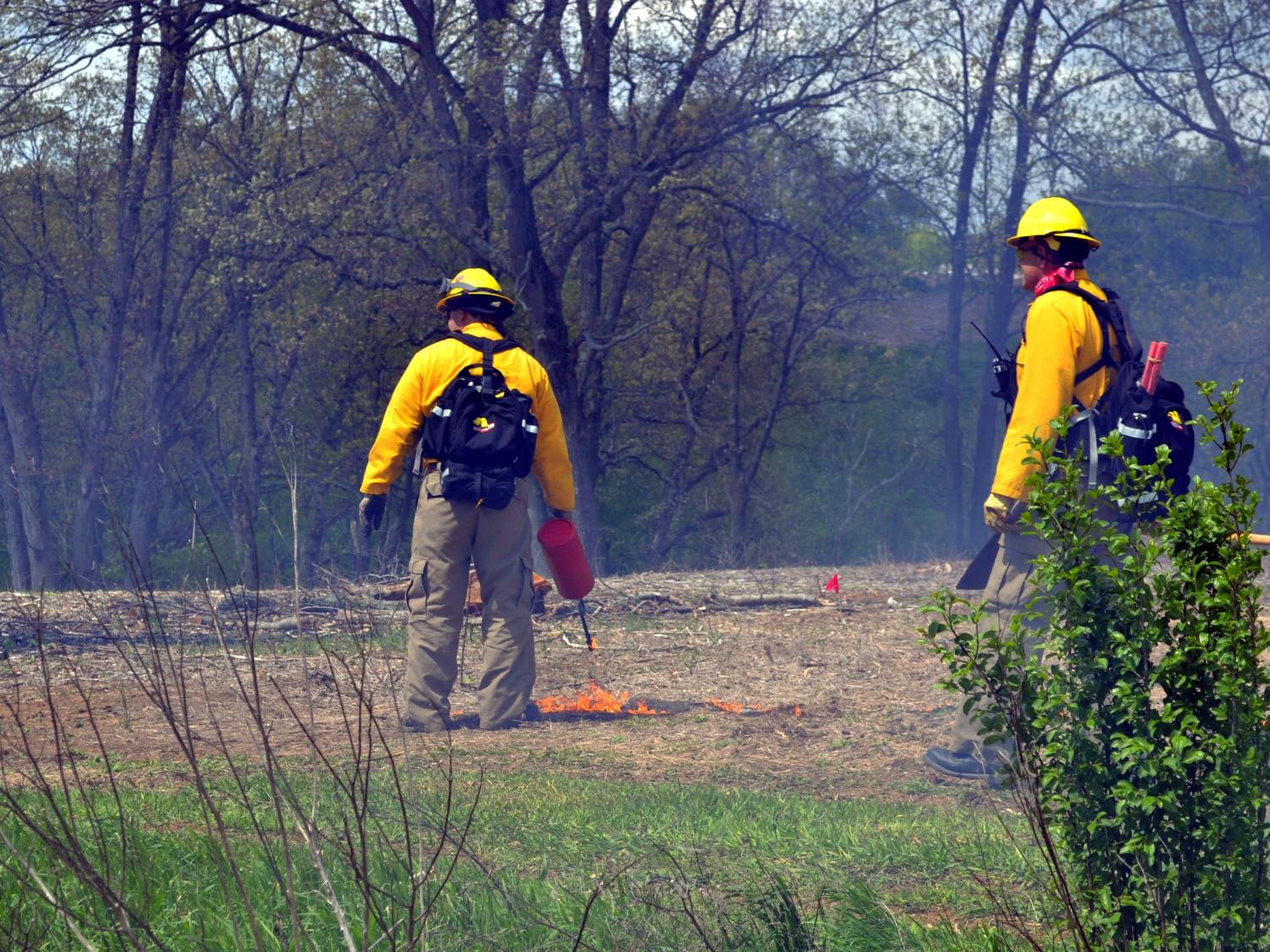 Prescribed fire could reduce tick populations and pathogen transmission ...