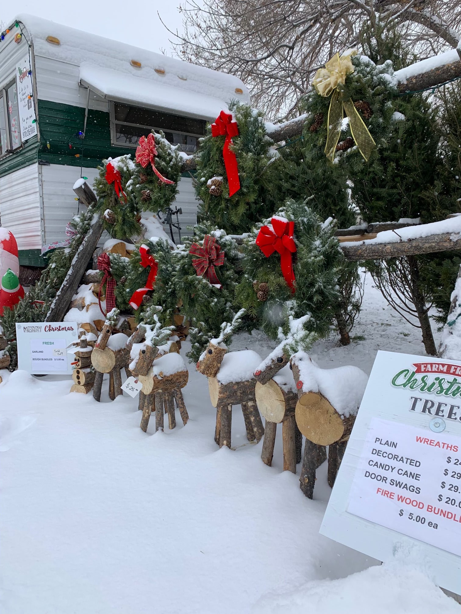 Rist Canyon Christmas Trees — A ‘lot’ of fun | TheFencePost.com