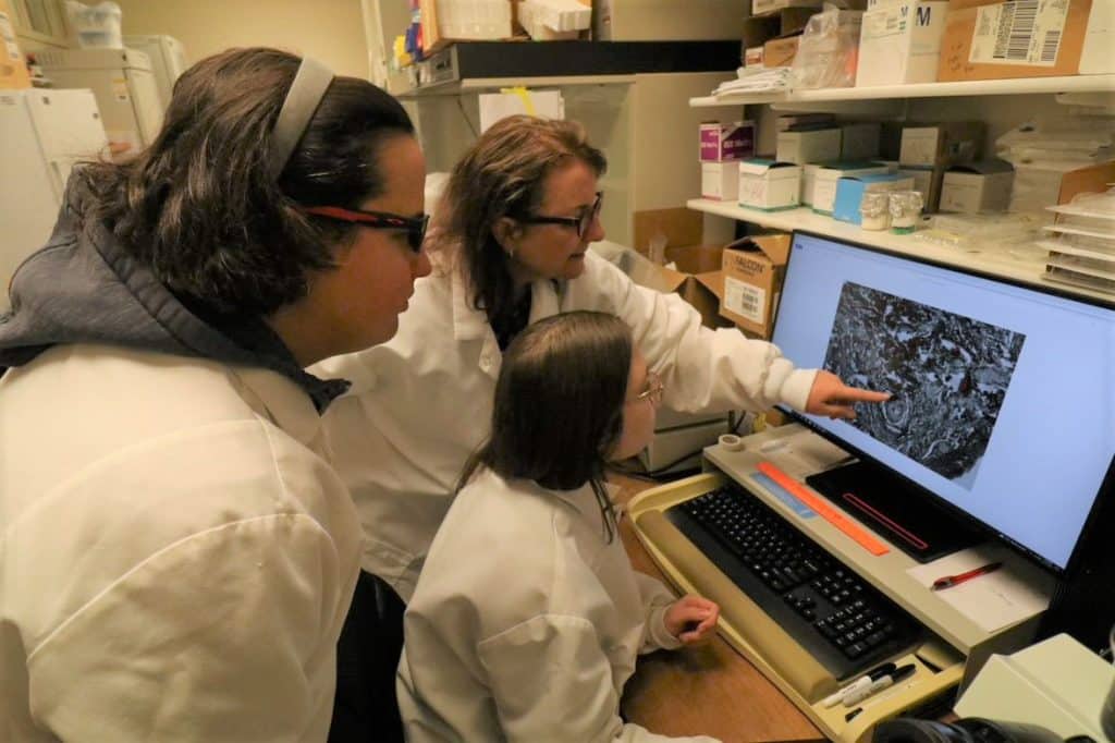 Innovative bovine-herd research boosts understanding of female infertility | TheFencePost.com