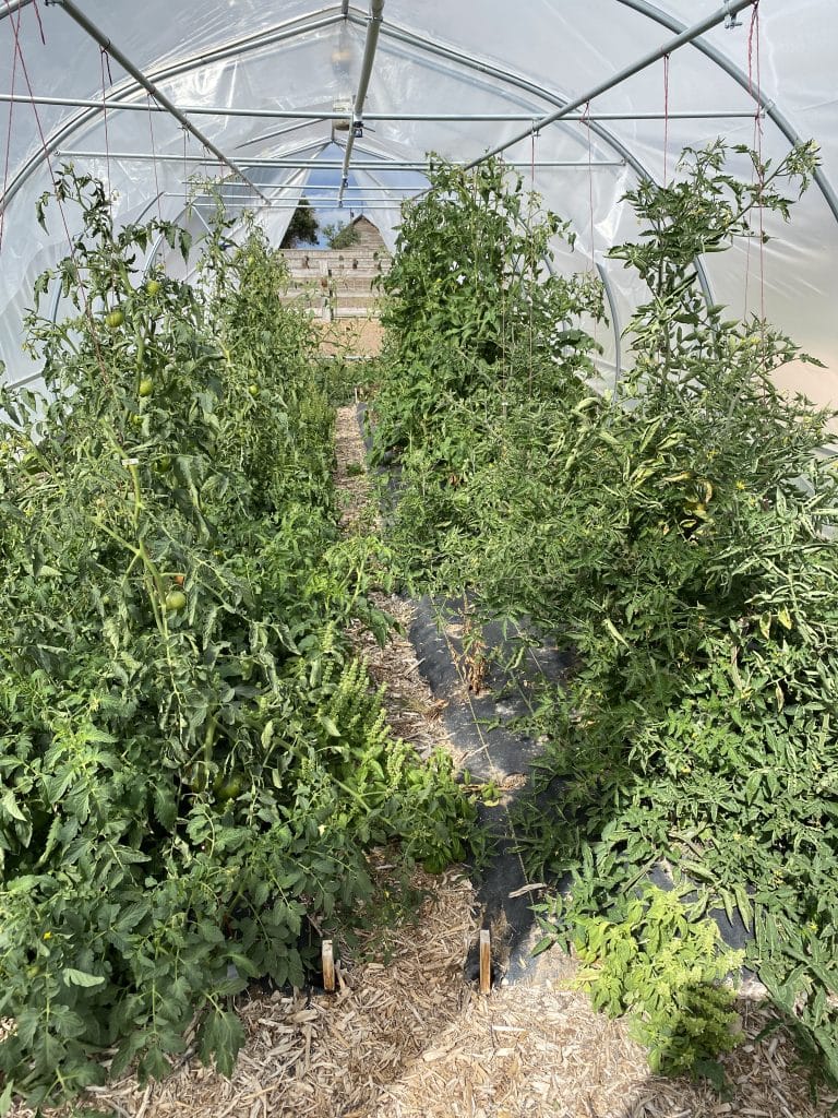 The Nalls family food | TheFencePost.com