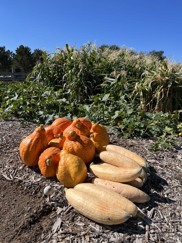 The Nalls family food | TheFencePost.com