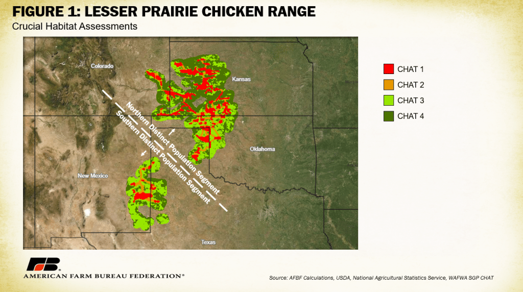 Lesser prairie chicken rule pressures fragile rural economies ...