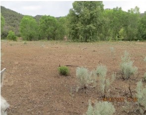 USFS aerial gunning will begin Feb. 23 in Gila Wilderness ...