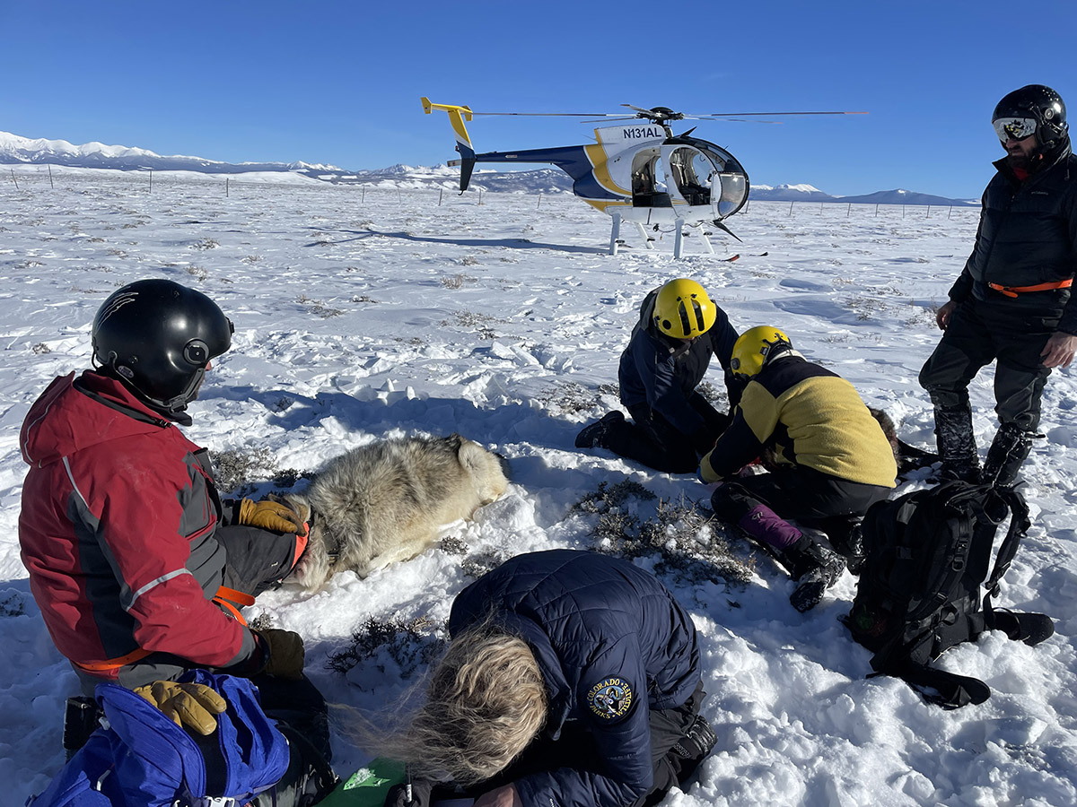 What to expect when your mare is expecting | TheFencePost.com