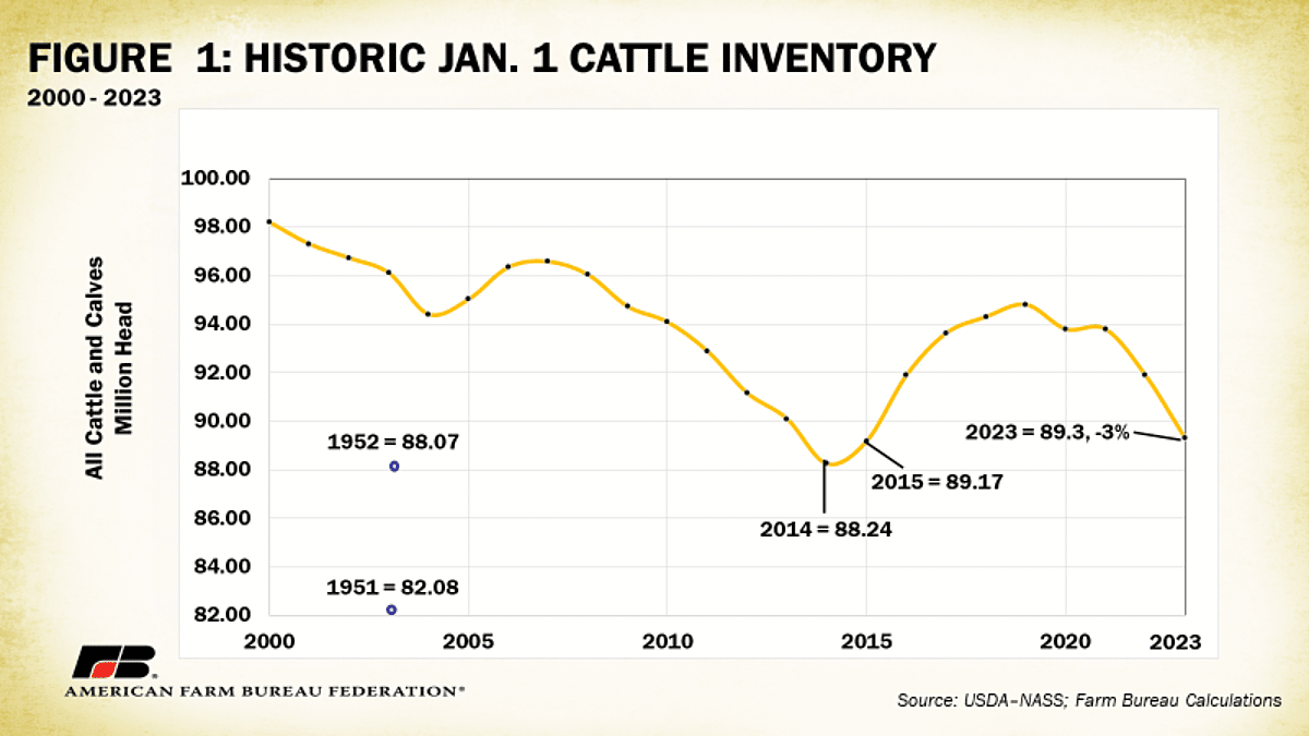 Semiannual cattle inventory and cattle contract library set the tone ...